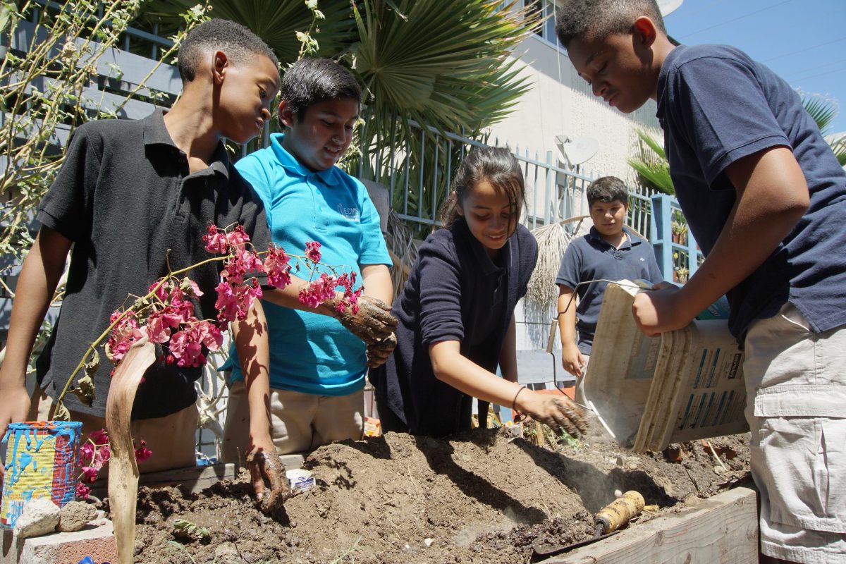 Environmental Charter Schools (ECS): Reimagining Public Education ...